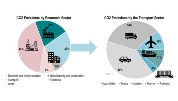 Easy Ways to Reduce Your Carbon Footprint (Plus 25 Tips)